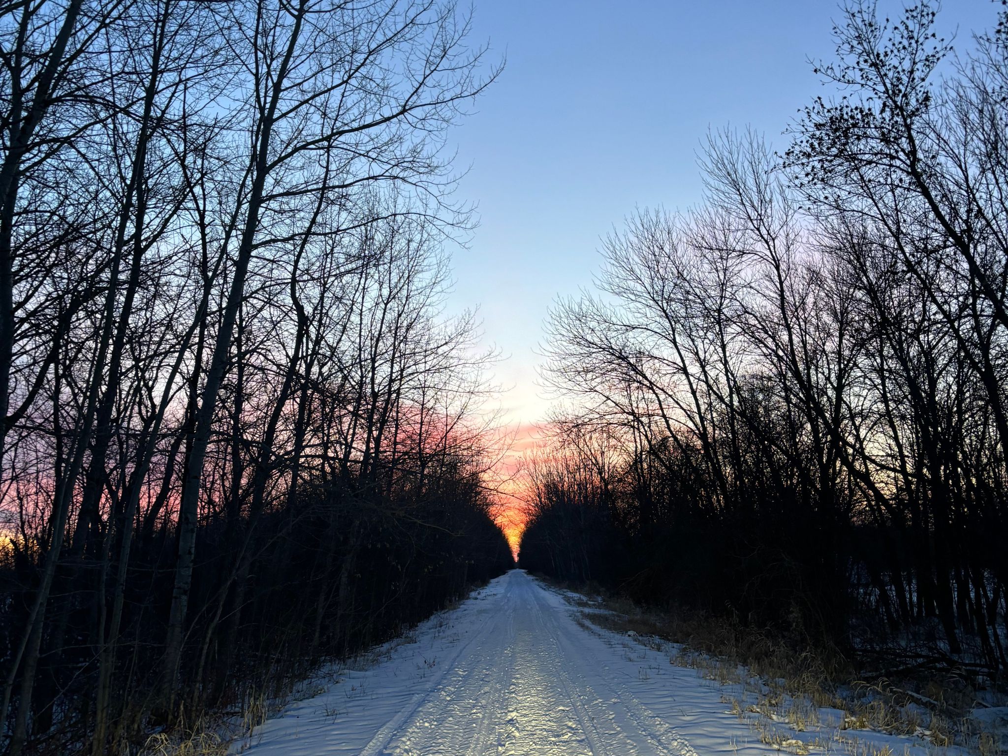 Cross Country Skiing on the North Shore, MN: Here Are the Best Places ...