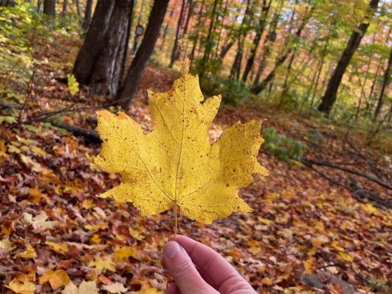 13 Hidden Gems in Duluth, MN That Locals Love to Visit – Journey ...