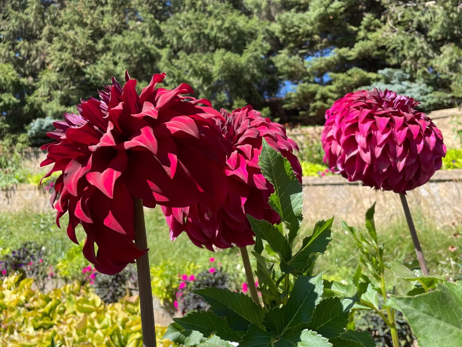 13 Hidden Gems in Duluth, MN That Locals Love to Visit – Journey ...